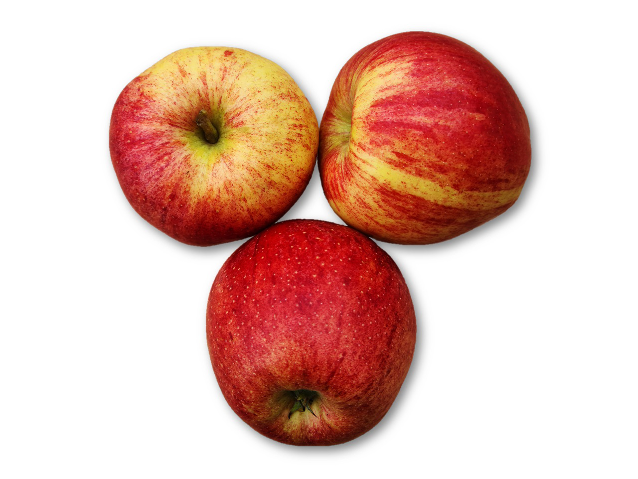 Gala Royal Äpfel, Obst vom Bodensee